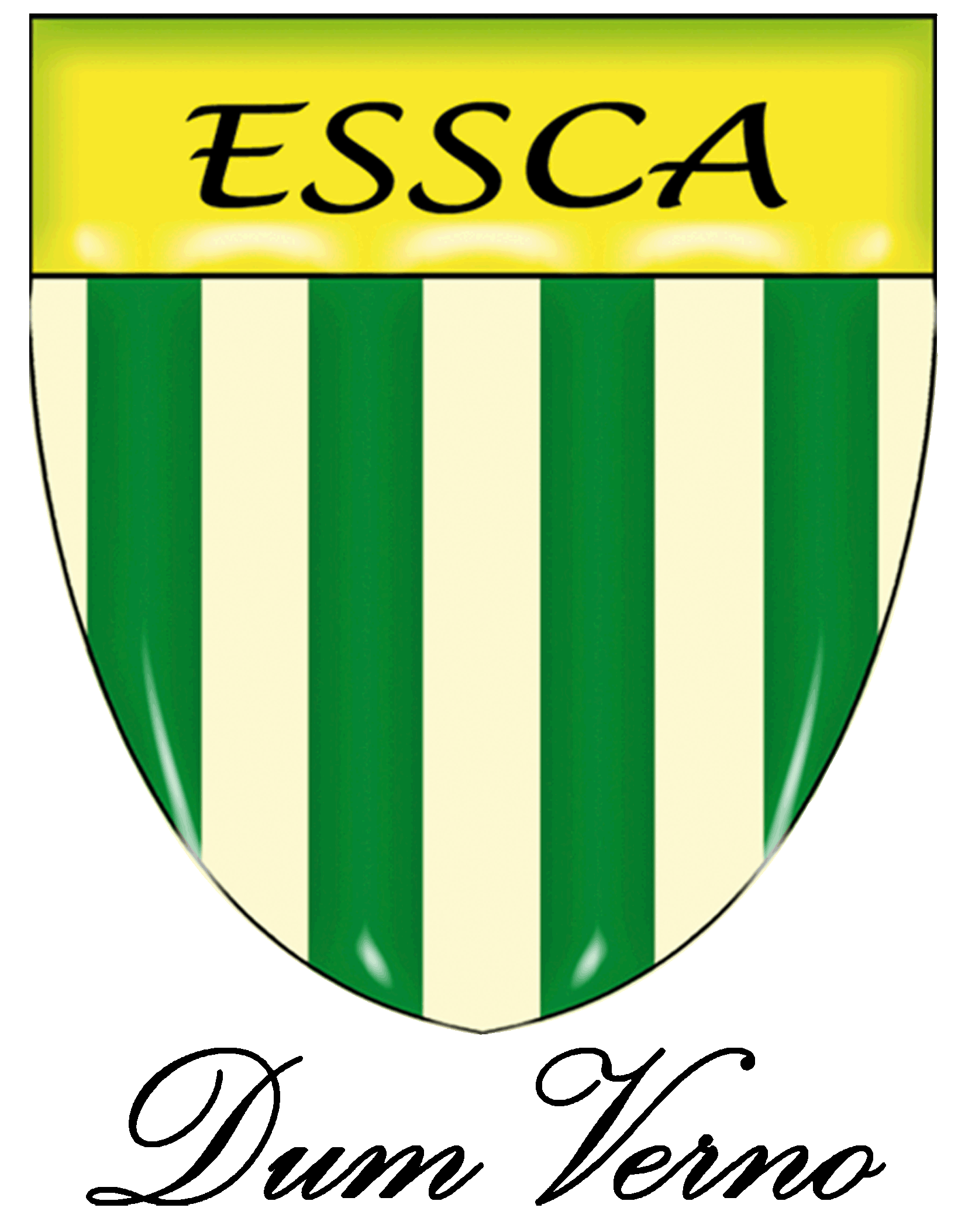 Accueil | ESSCA